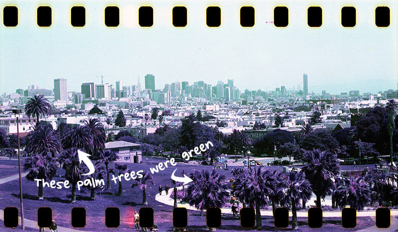 LomoChrome Purple XR 100-400