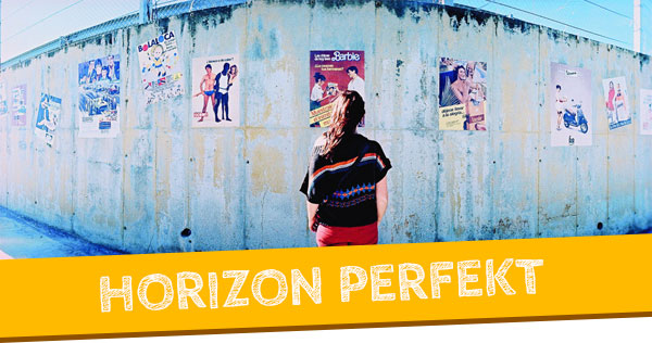 Save 30% on Horizon Cameras - Until Tomorrow Only!